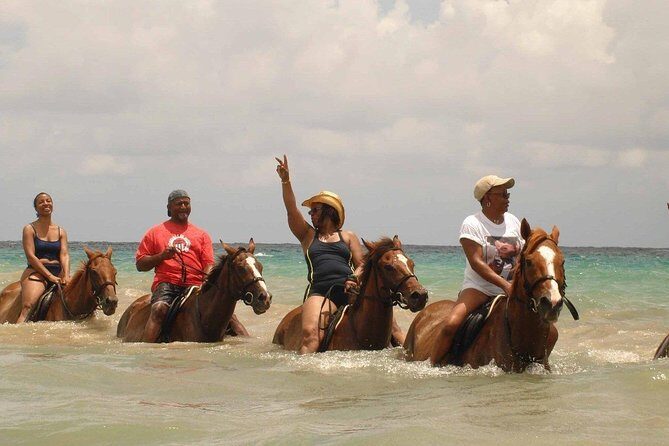 Half Day Beach Horseback Riding in Ocho Rios + Lunch - Who Will Love This Tour?