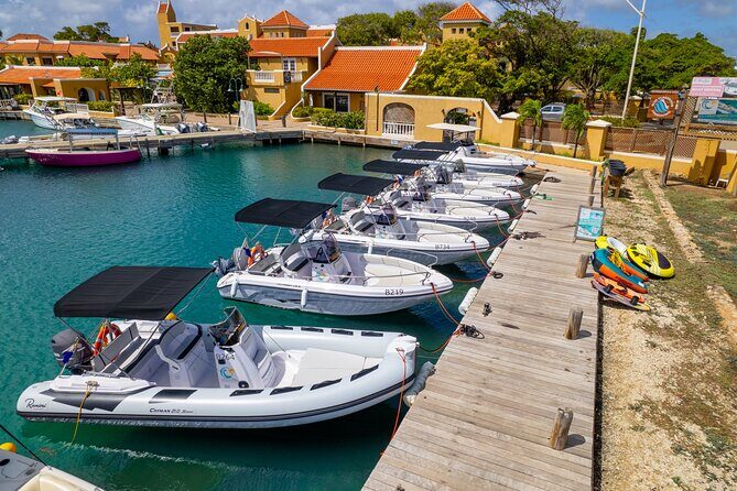 Half Day Boat Rental on Bonaire - The Itinerary in Detail
