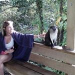 Half-Day Concord Waterfall and Chocolate Factory Tour - Authentic Experiences That Shine