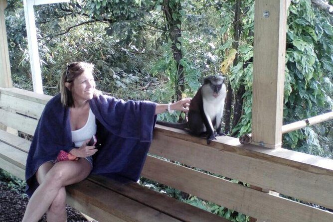 Half-Day Concord Waterfall and Chocolate Factory Tour - Authentic Experiences That Shine