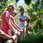 Half-Day Cultural Safari Tour from Uvero Alto - Practical Details and Value