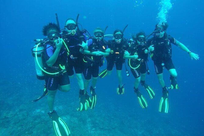 Half Day Diving adventure with Transportation Included - Who Might Not Find This Tour Suitable?