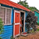 Half day Dominican Safari Experience ... / Half day Safari Excursion - Final Thoughts