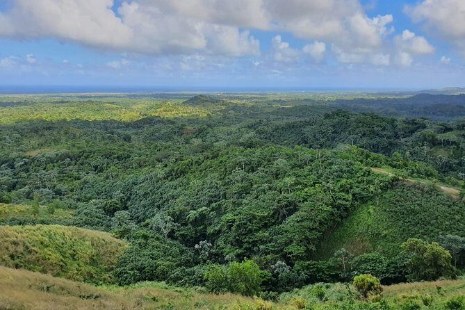 Half Day Dominican Safari for all Family - Authenticity and Value