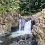 Half-Day El Yunque and Waterslides Adventure from Fajardo - Who Is This Tour Best For?