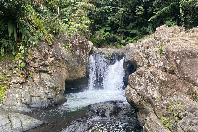 Half-Day El Yunque and Waterslides Adventure from Fajardo - Who Is This Tour Best For?