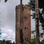 Half-Day El Yunque National Forest Tour from San Juan - Who Will Love This Tour?