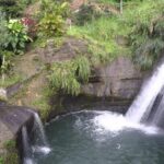 Half-Day Grenada Island Small-Group Sightseeing Tour - How the Tour Runs and What to Expect