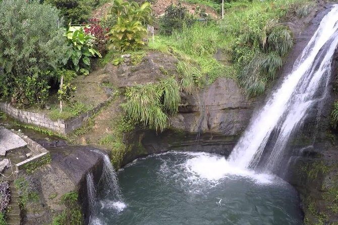 Half-Day Grenada Island Small-Group Sightseeing Tour - How the Tour Runs and What to Expect