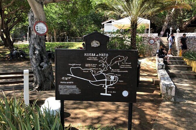 Half Day Hato Cave, Flamingo & Beach Tour - Areas for Improvement