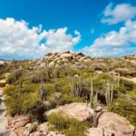 Half-Day Jeep Tour in Aruba - What’s Included and What to Prepare For