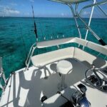 Half Day Luxury Private Fishing Charters in Cayman Islands - What to Expect During Your Half-Day Tour