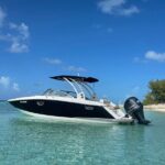 Half-Day Luxury Private Rose Island Pigs and Turtles Excursion - The Sum Up