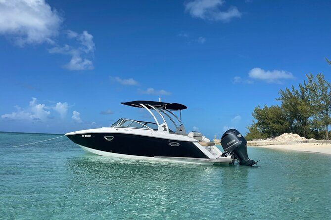 Half-Day Luxury Private Rose Island Pigs and Turtles Excursion - The Sum Up