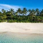 Half-Day Nassau Getaway: Rose Island Snorkeling & Turtle Visit - Who Should Consider This Tour?