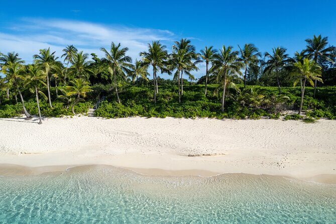 Half-Day Nassau Getaway: Rose Island Snorkeling & Turtle Visit - Who Should Consider This Tour?