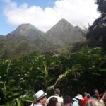 Half-Day Nature and Panorama Tour in Martinique - Transportation and Group Dynamics