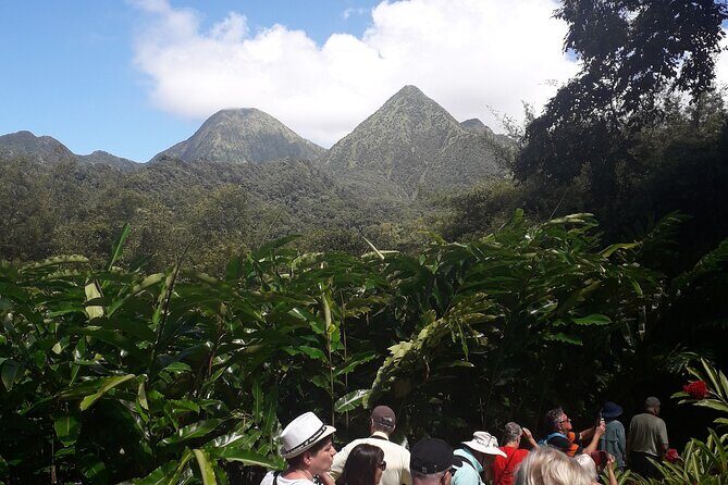 Half-Day Nature and Panorama Tour in Martinique - Transportation and Group Dynamics