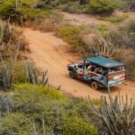 Half Day Off-Road & Snorkel Safari - Who Should Consider This Tour?