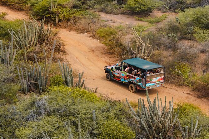 Half Day Off-Road & Snorkel Safari - Who Should Consider This Tour?