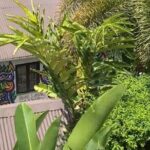 Half- Day Private Bob Marley 9 Mile and Dunns River Falls Tour - A Closer Look at the Itinerary