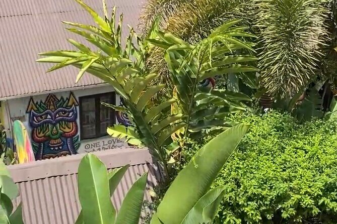 Half- Day Private Bob Marley 9 Mile and Dunns River Falls Tour - A Closer Look at the Itinerary