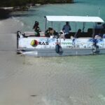 Half Day Private Charters in Iguana Island for 8pax - Practical Details and Tips