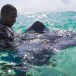Half-Day Private Stingray City Charter in Cayman Islands - Who Should Consider This Tour?