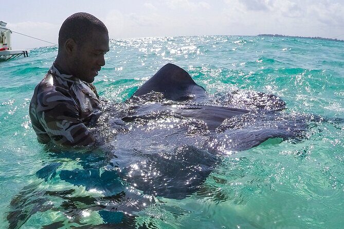 Half-Day Private Stingray City Charter in Cayman Islands - Who Should Consider This Tour?