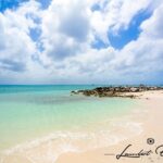 Half Day Private Tour in Aruba with Guide - Key Points