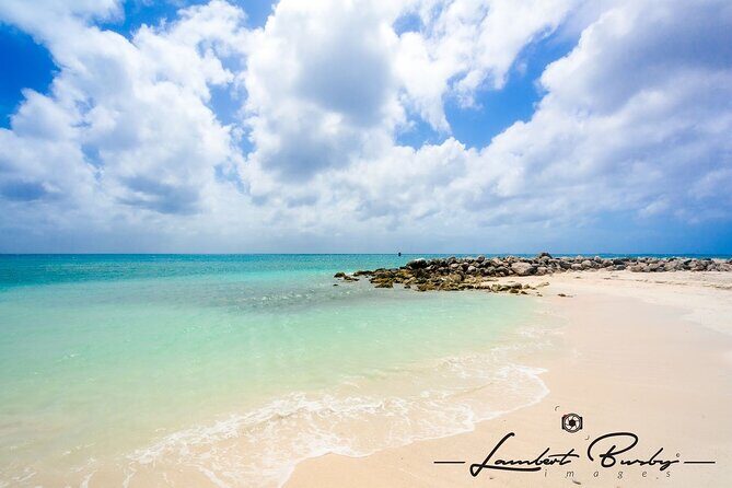 Half Day Private Tour in Aruba with Guide - Key Points