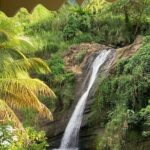 Half Day Private Tour in Grenada - Who Will Love This Tour?