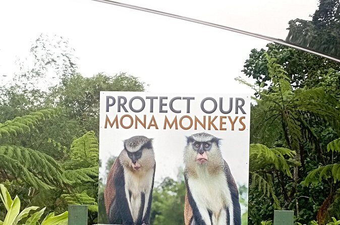 Half Day Private Tour of The Spice Isle - The Itinerary Breakdown