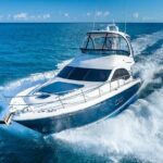Half Day Private Yacht Charters - The Itinerary: What to Expect on a Typical Day