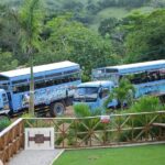 Half-Day Safari Tour from Punta Cana - FAQ