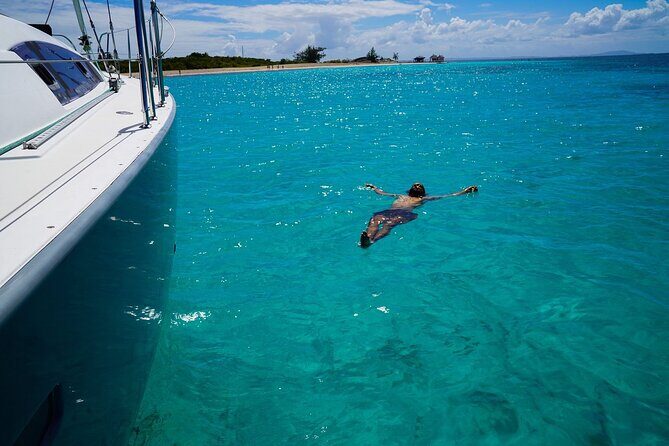 Half Day Sail to Lime Out St. Thomas with Gourmet Tacos - Who Will Love This Tour?