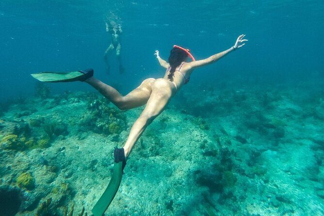 Half Day Snorkel from Providenciales with Visit to Half Moon Bay - Group Size and Overall Experience