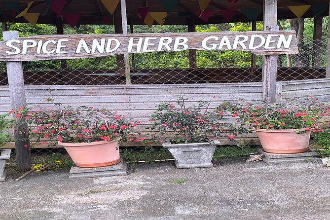 Half day Spice Necklace Tour - Practical Details: What to Expect