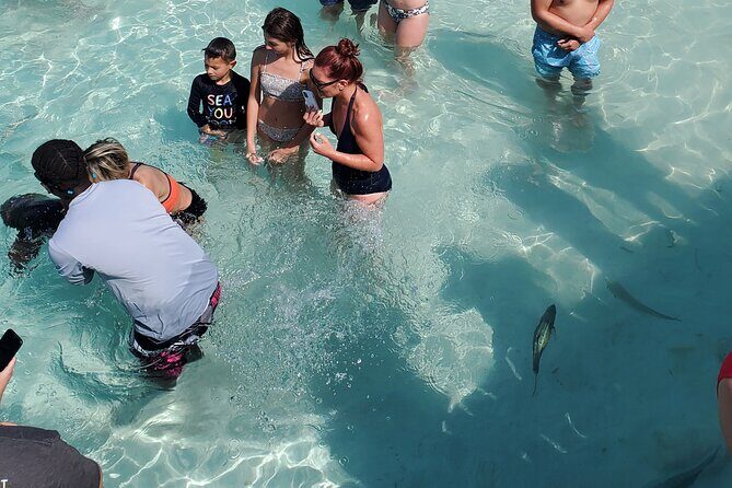 HALF DAY Swiming Pigs and Sharks Tour (Nassau to Exuma by Plane) - The Itinerary in Detail