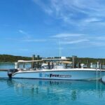 Half Day Swimming Pigs on Rose Island, Snorkeling and Lunch - What Travelers Say