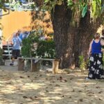 Half Day Tobago Tours with Transfers - Is This Tour Worth Your Time and Money?