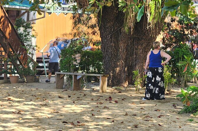 Half Day Tobago Tours with Transfers - Is This Tour Worth Your Time and Money?