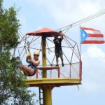 Half Day Tour in Rainforest Zipline Park with Transportation - Reviews: Authentic Voices from Past Travelers