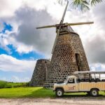 Half-Day Tour: Island Safari Adventure from St. John's - Detailed Breakdown of the Itinerary