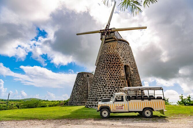 Half-Day Tour: Island Safari Adventure from St. John's - Detailed Breakdown of the Itinerary