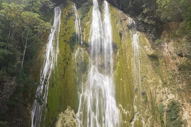 Half day Tour to El Limón Waterfall with Lunch - What to Expect with This Tour