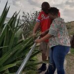 Half-day Tour to St.Maarten Best Island - Exploring the Itinerary: What to Expect at Each Stop