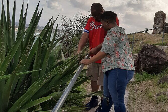 Half-day Tour to St.Maarten Best Island - Exploring the Itinerary: What to Expect at Each Stop