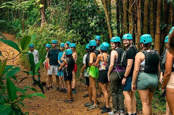 Half-Day Yunque Rainforest Waterslide & Rope swing - Assessing the Value