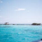 HalfDay Private Snorkel & Mangrove Experience  Local Host - What You Can Expect at Each Stop